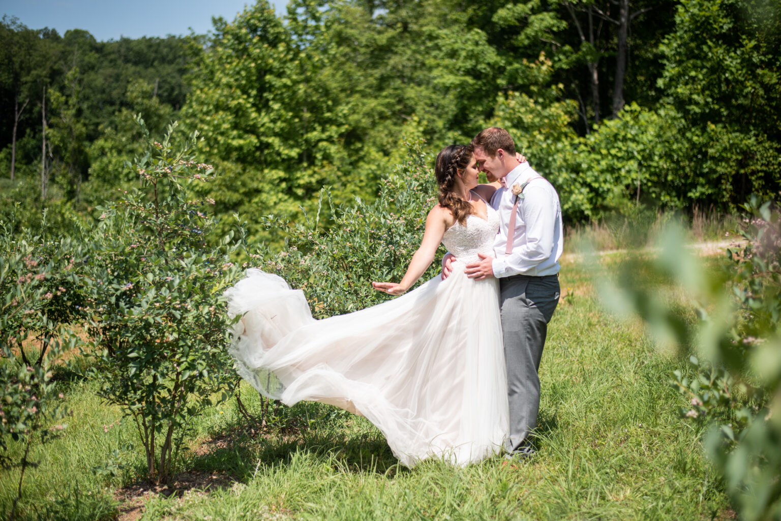 How to Find the Right North Georgia Outdoor Wedding Venue ...